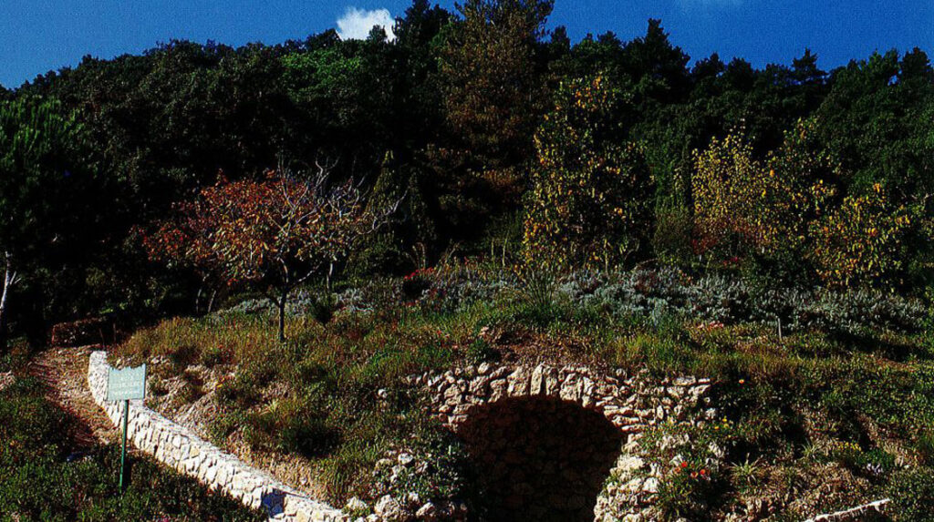 Chi siamo - Calabria Verde, tutela e gestione del territorio